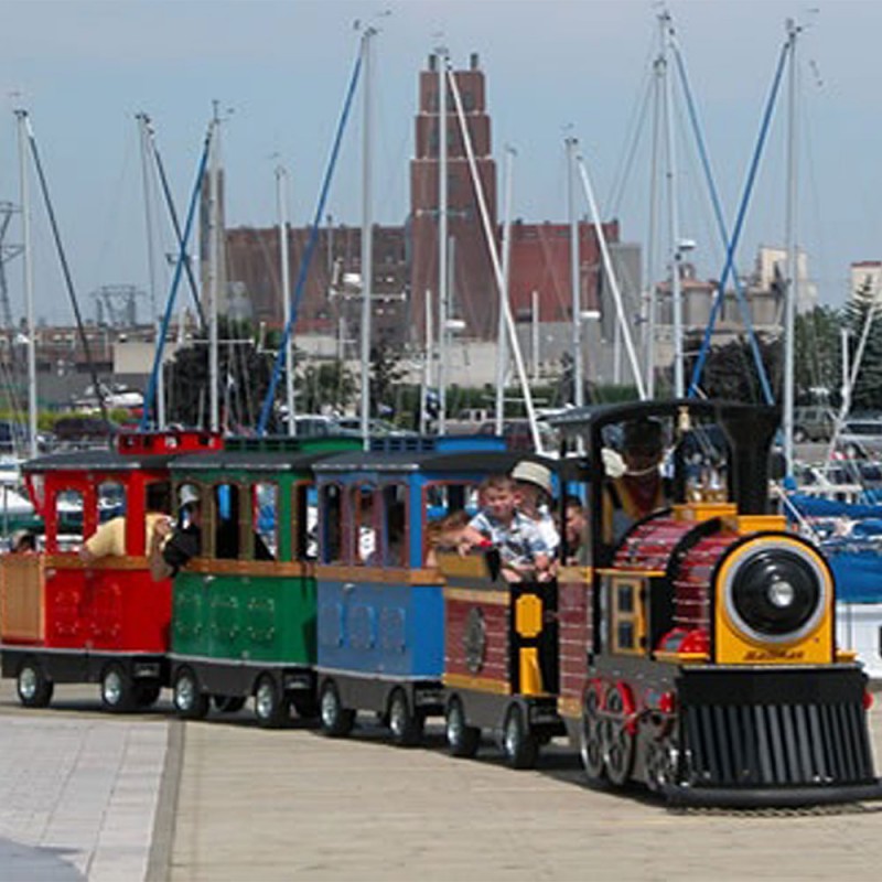 Mini Train Express